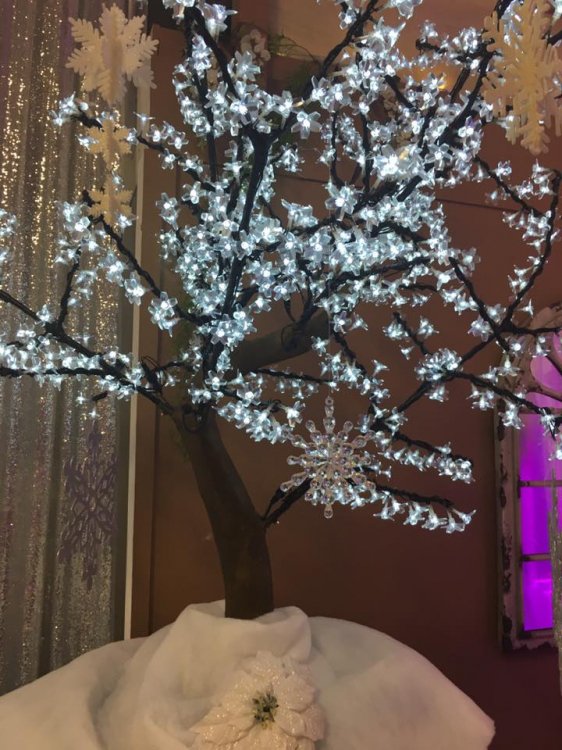 White LED Tree - A&S Party Rental And More